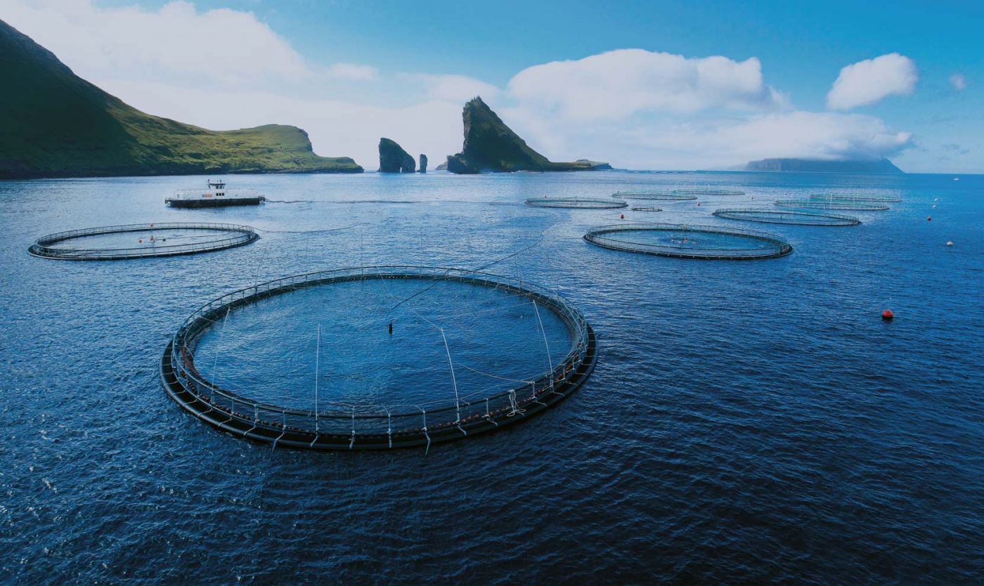 Home | Stavis Seafoods