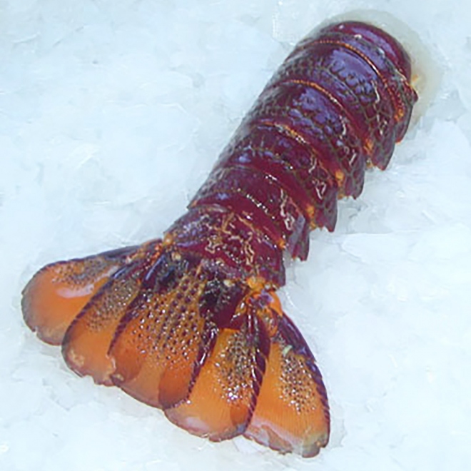 Our Products | Stavis Seafoods