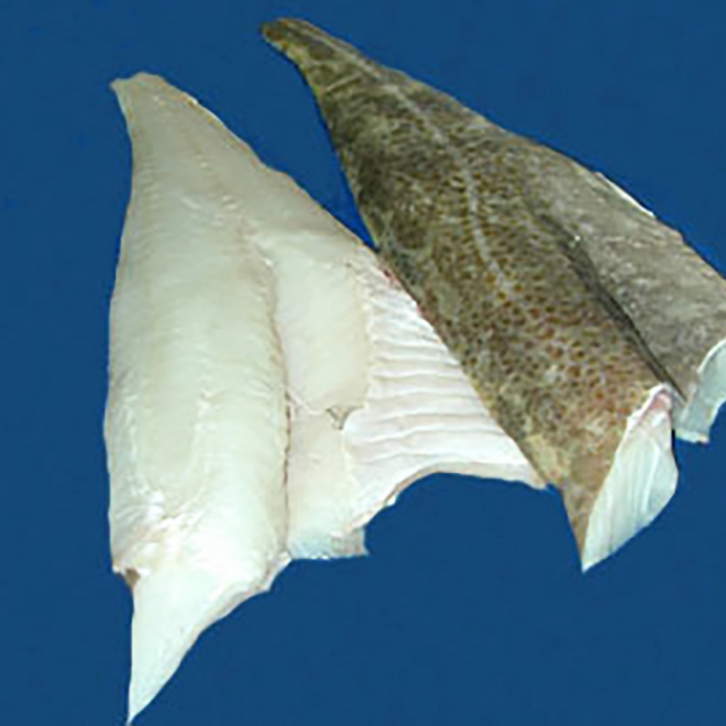 Our Products | Stavis Seafoods