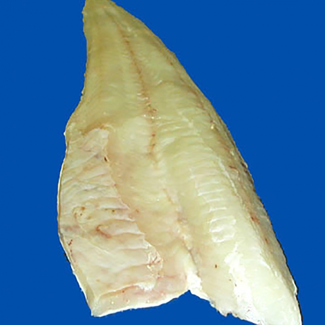 Our Products | Stavis Seafoods