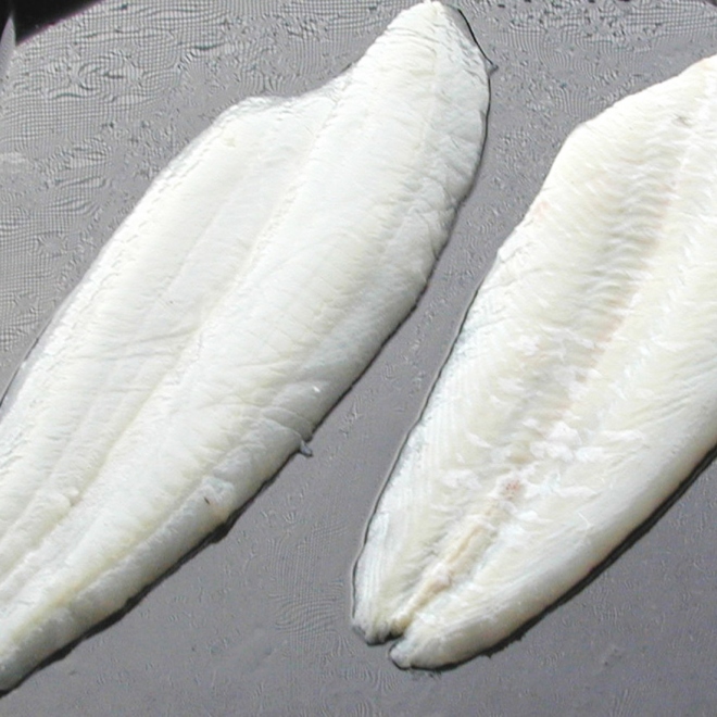 Our Products | Stavis Seafoods